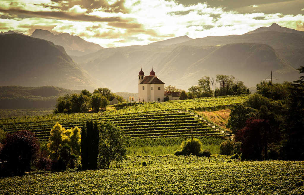 Mountain Wine and Moonshine – Voyager Trips